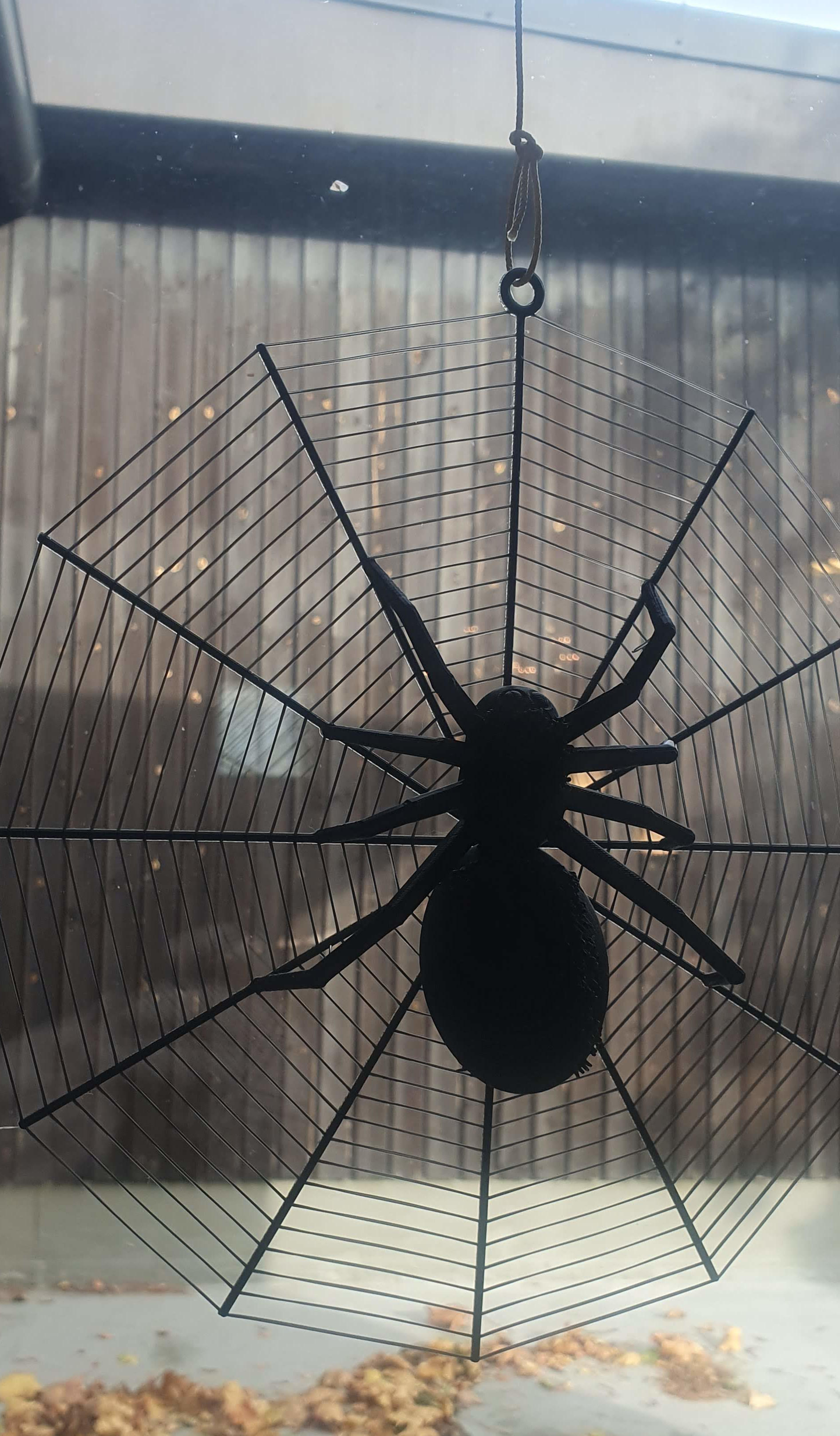 Spider in net by kivinen | Download free STL model | Printables.com