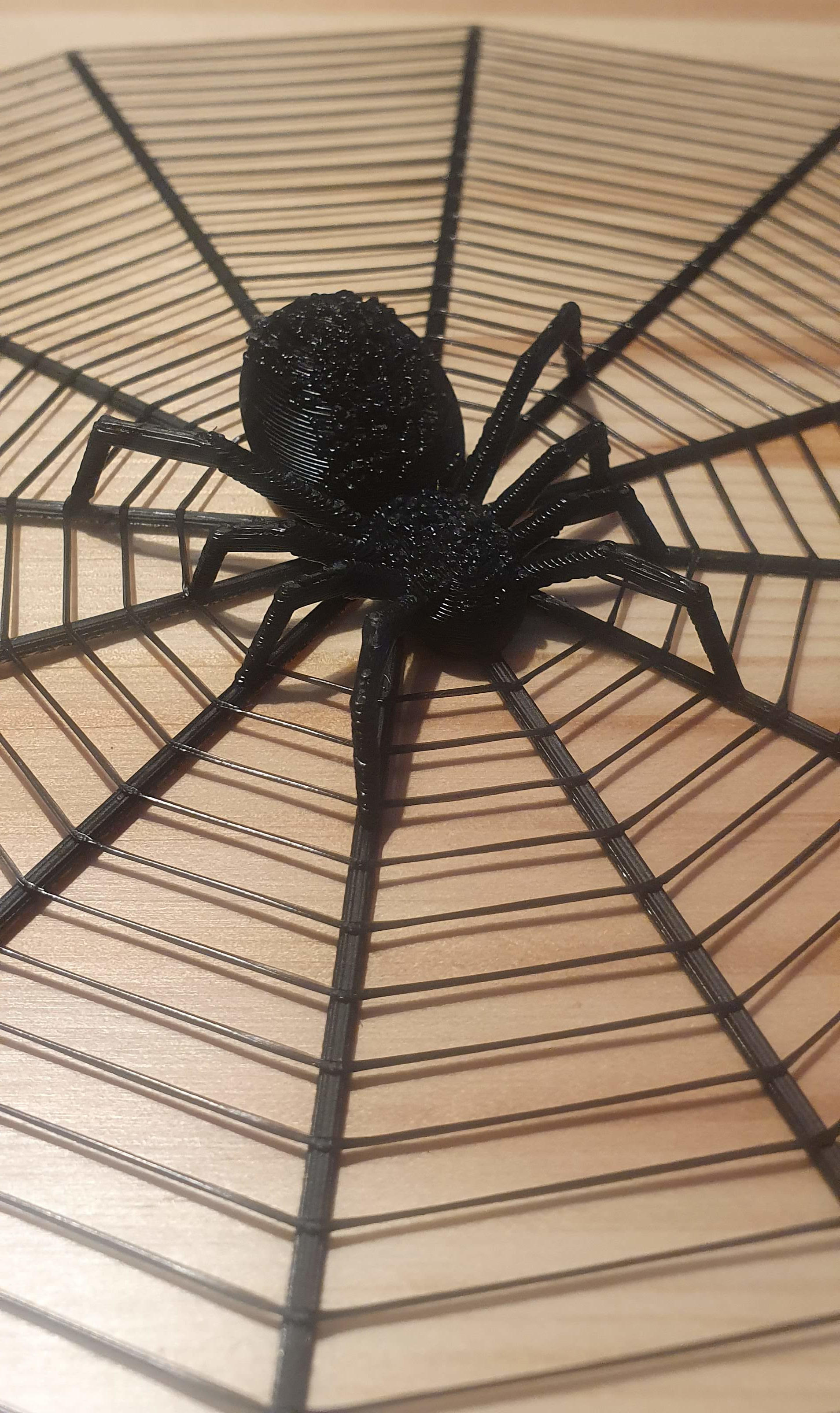 Spider in net by kivinen | Download free STL model | Printables.com