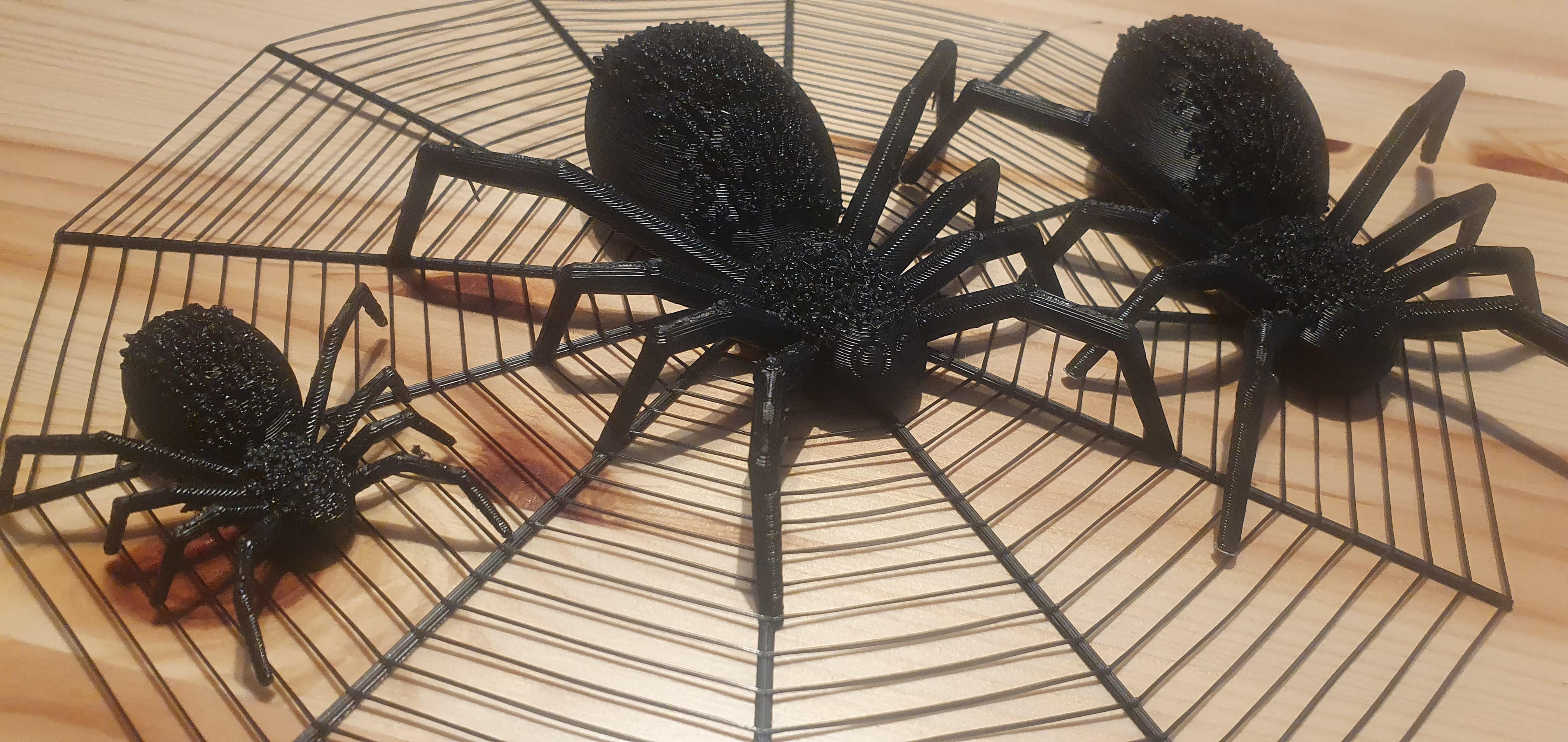 Spider in net by kivinen | Download free STL model | Printables.com