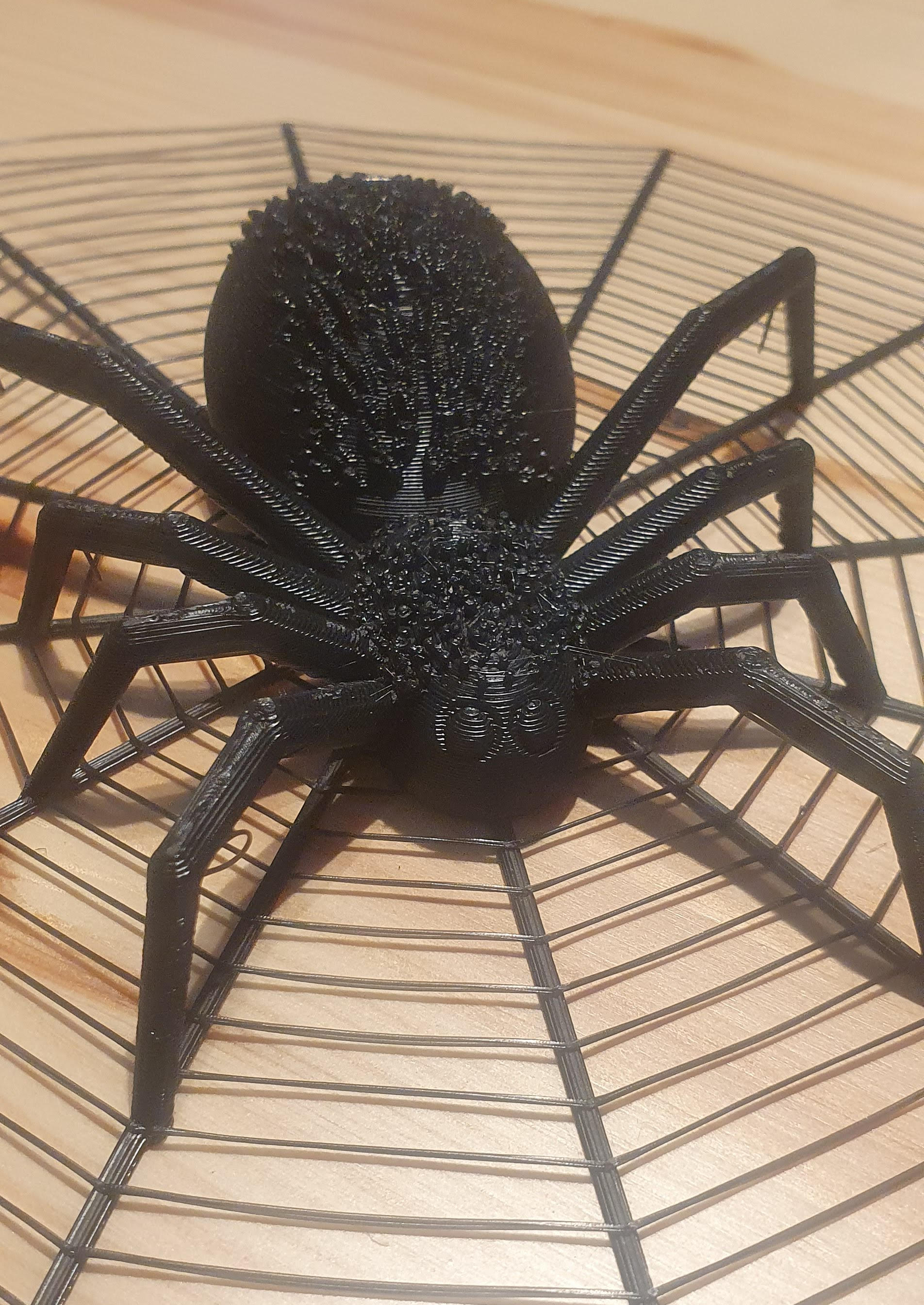 Spider in net von kivinen | Kostenloses STL-Modell herunterladen ...