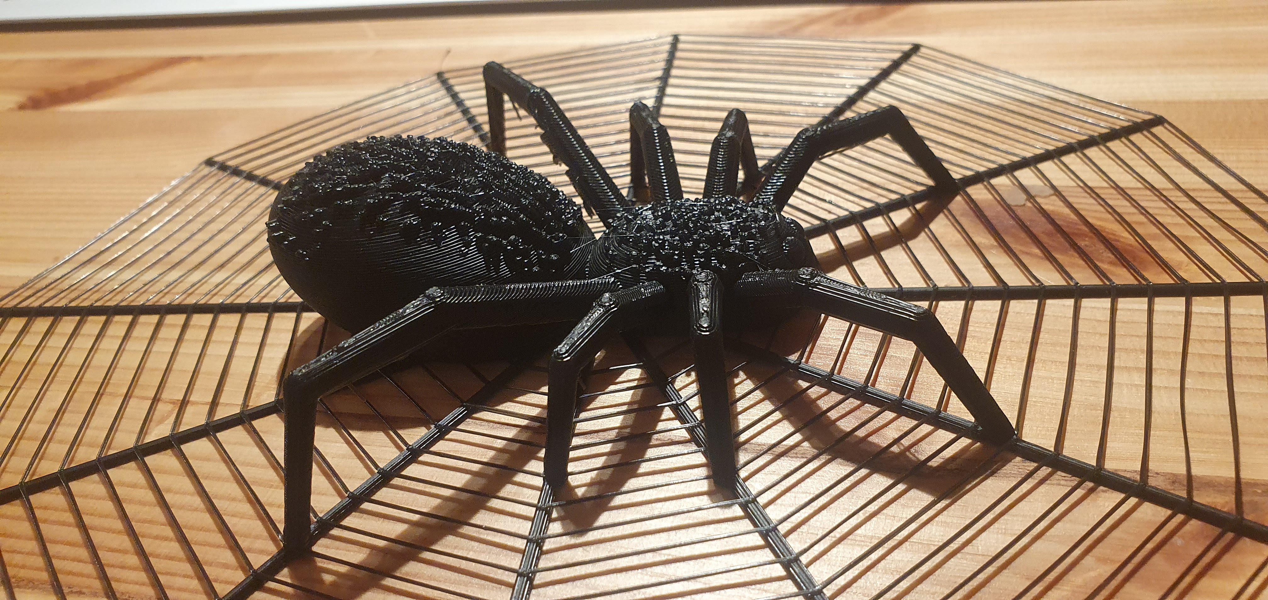 Spider in net by kivinen | Download free STL model | Printables.com