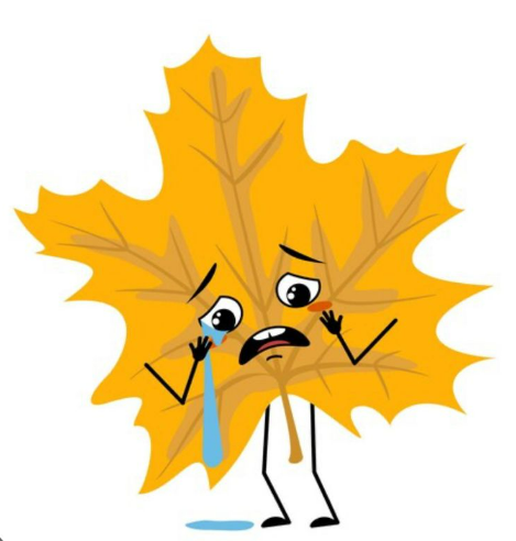 crying maple leaf by adir moshe | Download free STL model | Printables.com