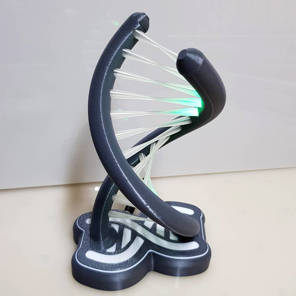 RGB DOUBLE HELIX LAMP - easyprint by Hedo3D | Download free STL model ...
