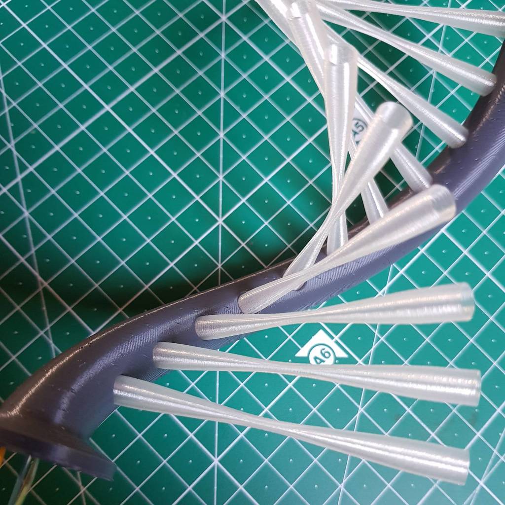 RGB DOUBLE HELIX LAMP - easyprint by Hedo3D | Download free STL model ...