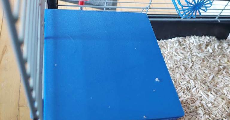 Square Universal Rodent Platform por Shalinado | Descargar modelo STL ...