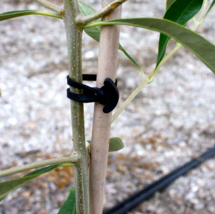 Stretch-Lock Plant Tying System T-Ties by Shane Graber | Download free ...