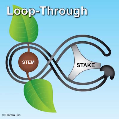 Stretch-Lock Plant Tying System T-Ties by Shane Graber | Download free ...