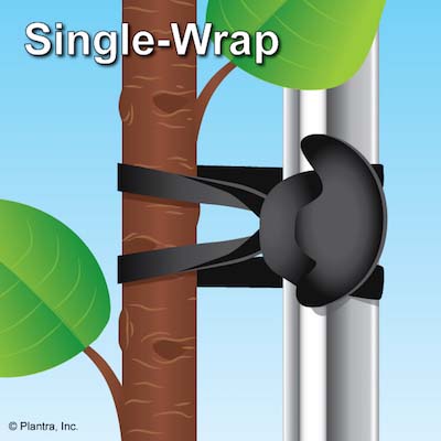 Stretch-Lock Plant Tying System T-Ties by Shane Graber | Download free ...