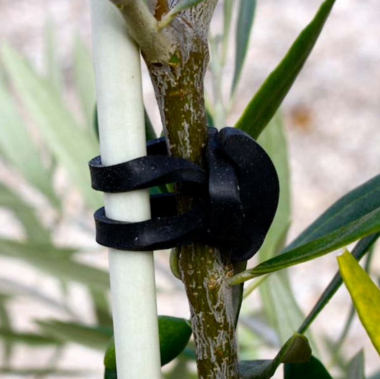 Stretch-Lock Plant Tying System T-Ties by Shane Graber | Download free ...