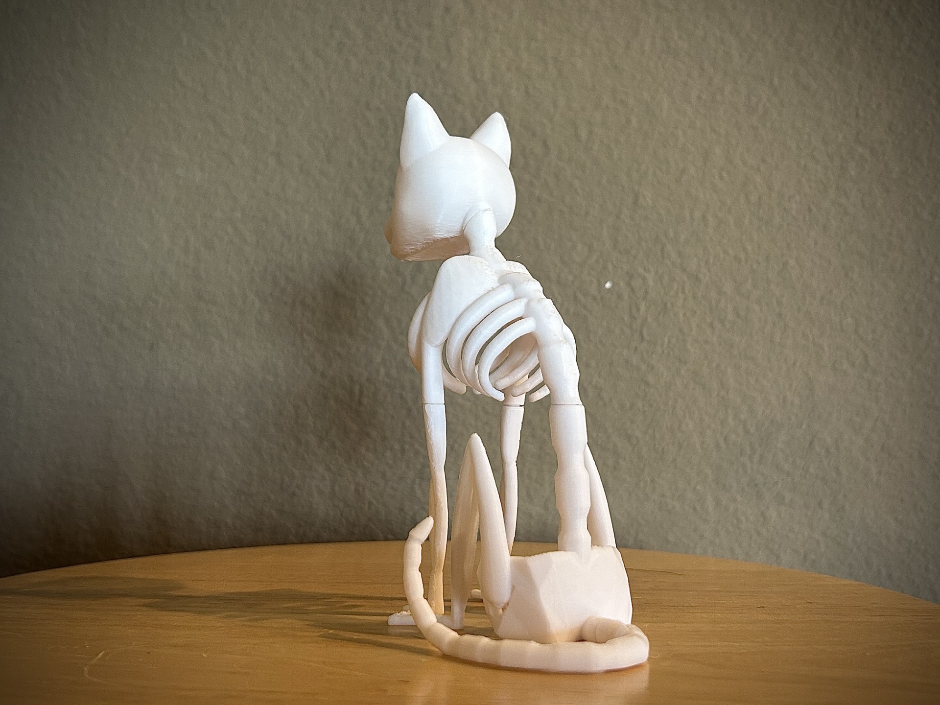 Stylized Cat Skeleton by FlameKitty | Download free STL model ...