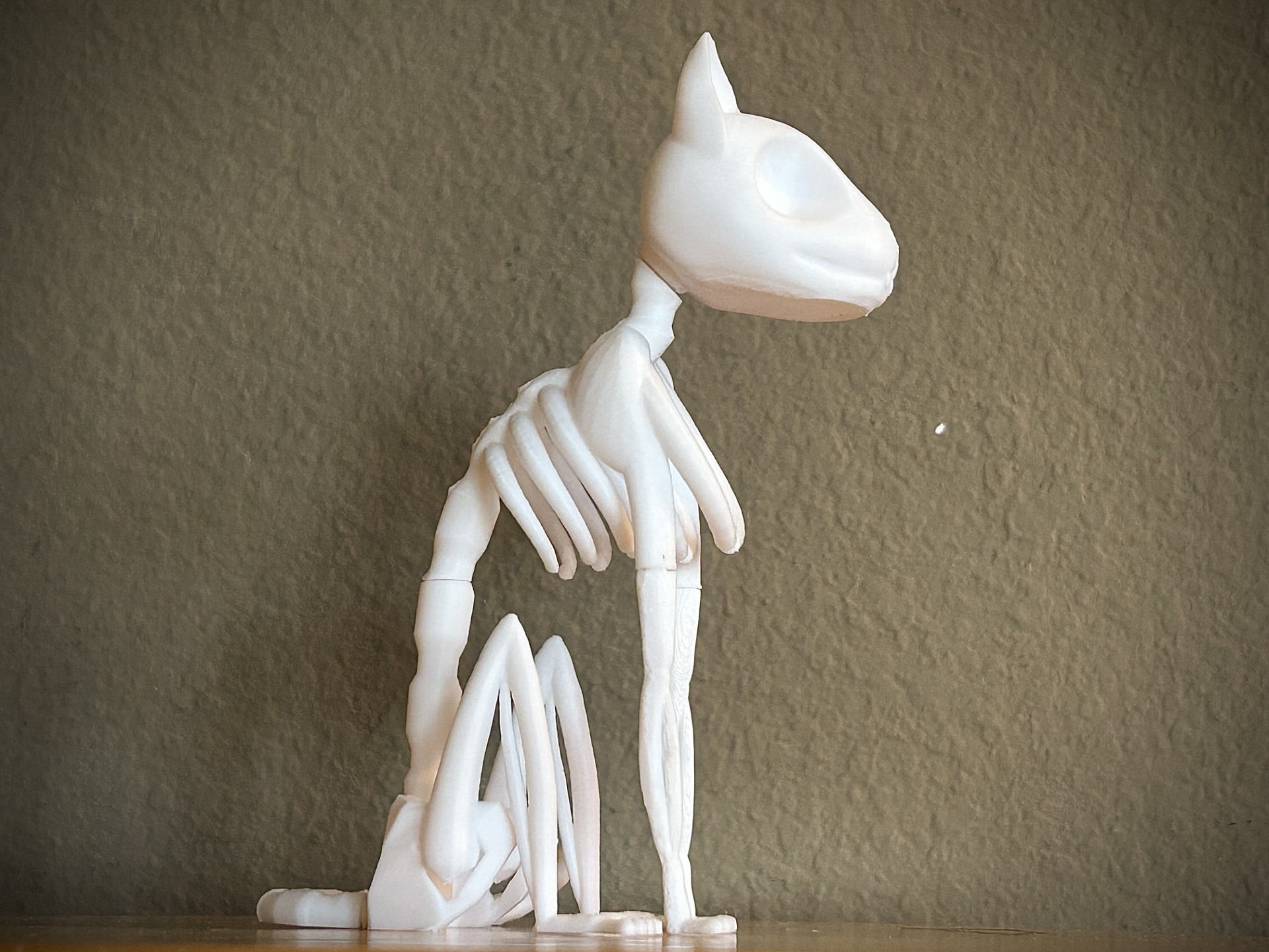 Stylized Cat Skeleton by FlameKitty | Download free STL model ...