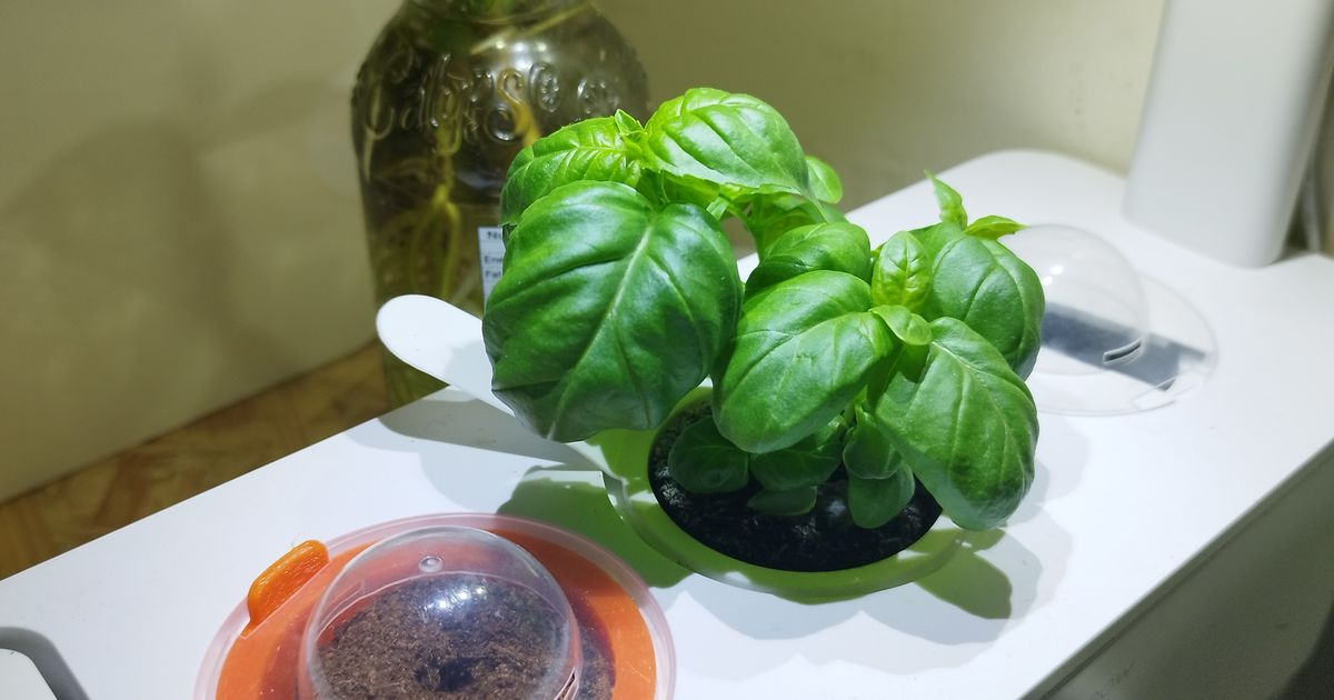 Click and Grow Smart Garden Replacement Pot by CanMan | Download free ...