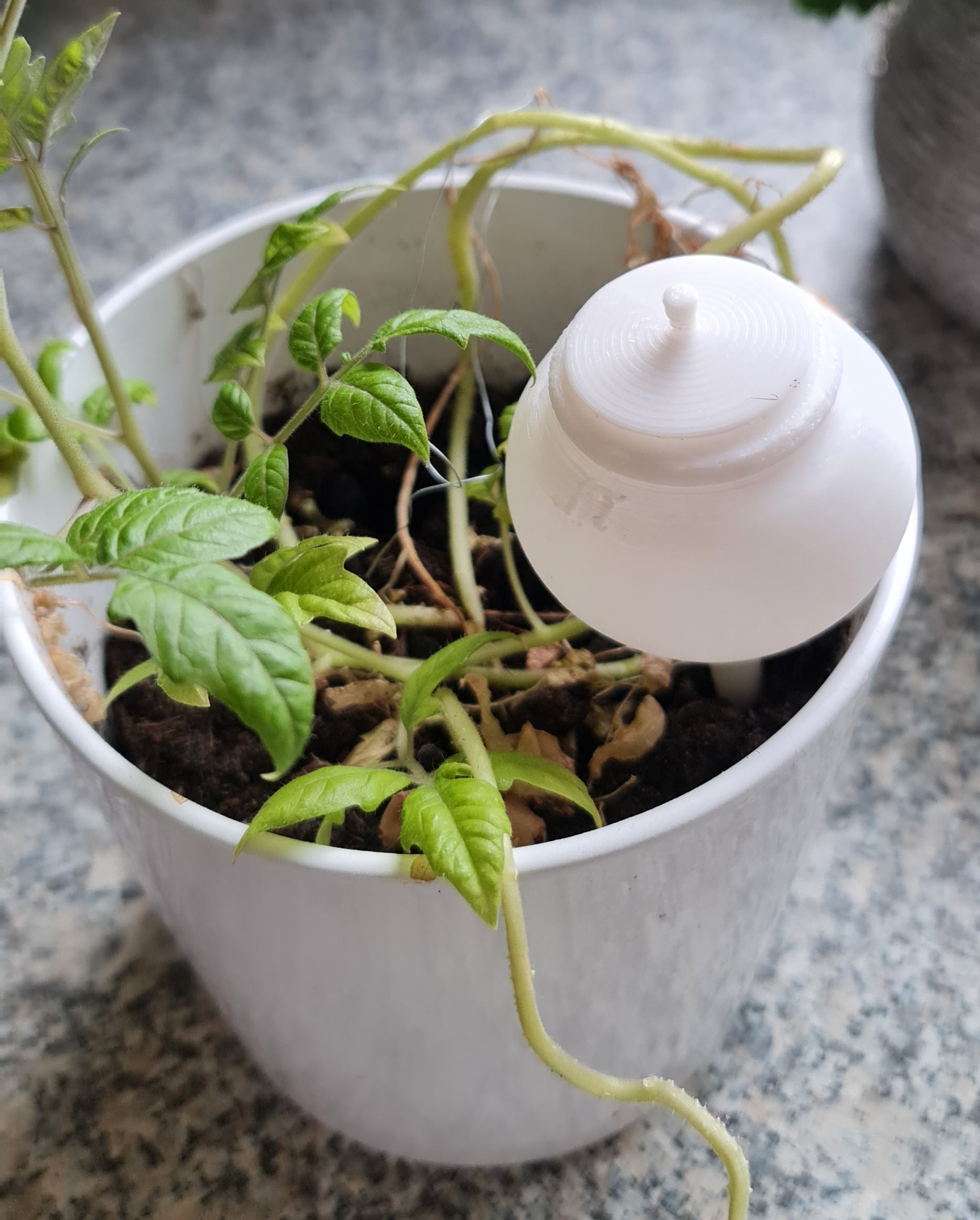 Watering Pot with Lid by priyan | Download free STL model | Printables.com