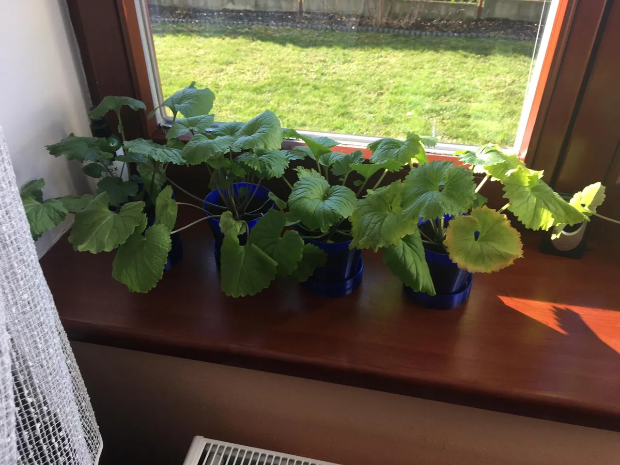 květináče by J. H. | Download free STL model | Printables.com