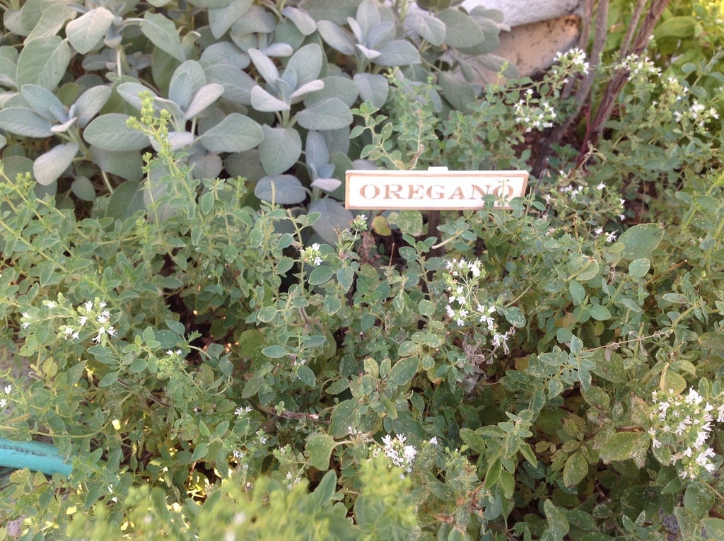 Herb Signs by SometimesCake | Download free STL model | Printables.com