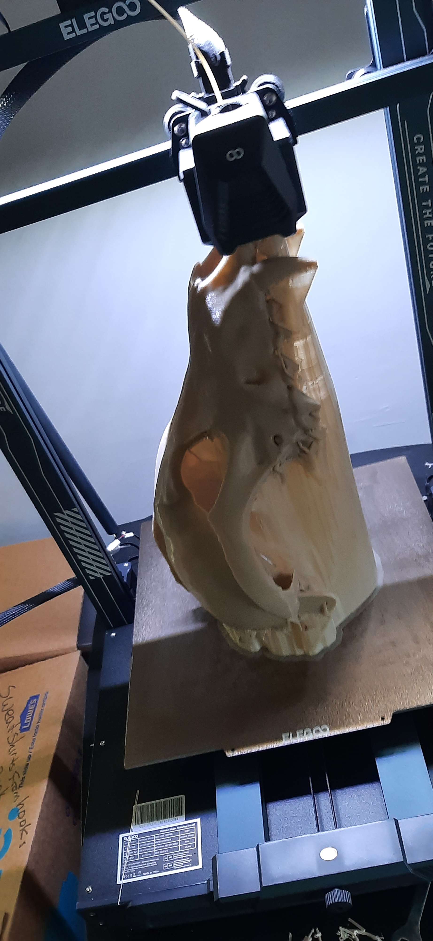 Fixed Grey wolf skull mask par aemj9277 | Téléchargez gratuitement un ...