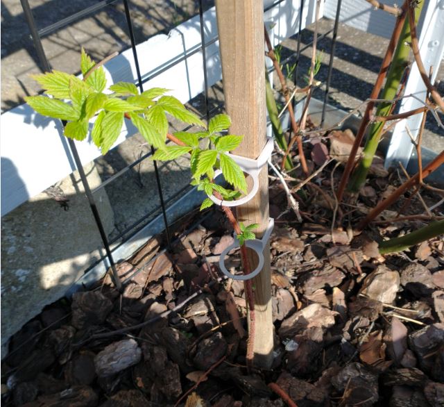 Stakes clips by Alpes86 | Download free STL model | Printables.com