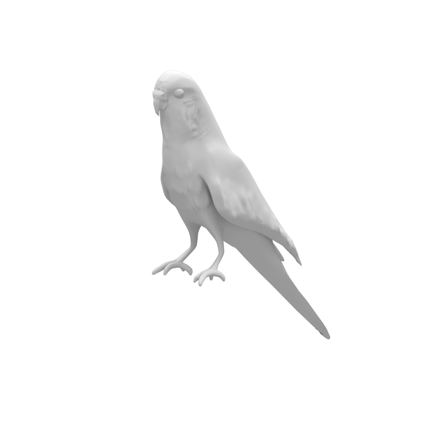 Parakeet by Durmuş Gençer | Download free STL model | Printables.com