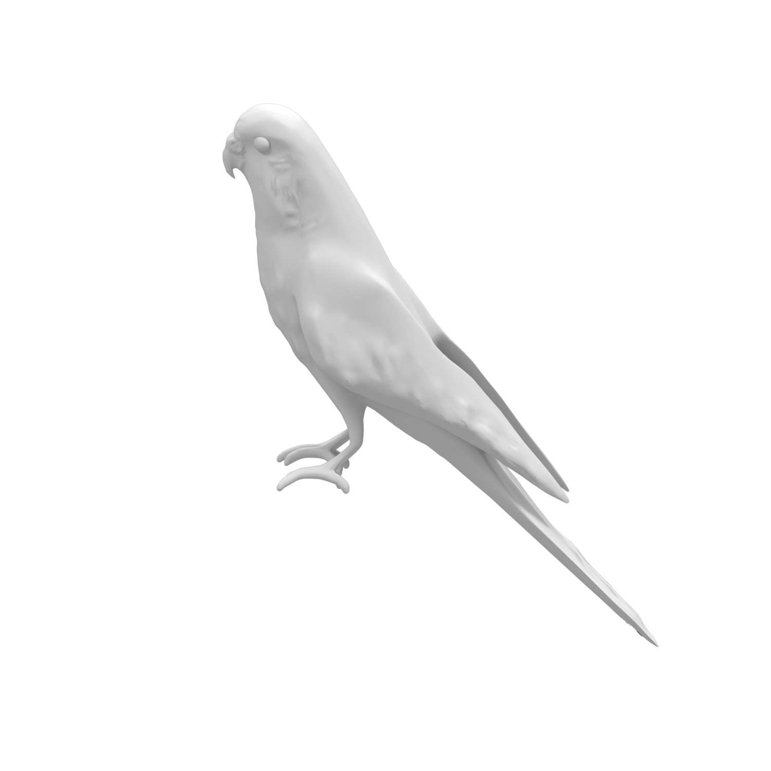 Parakeet by Durmuş Gençer | Download free STL model | Printables.com