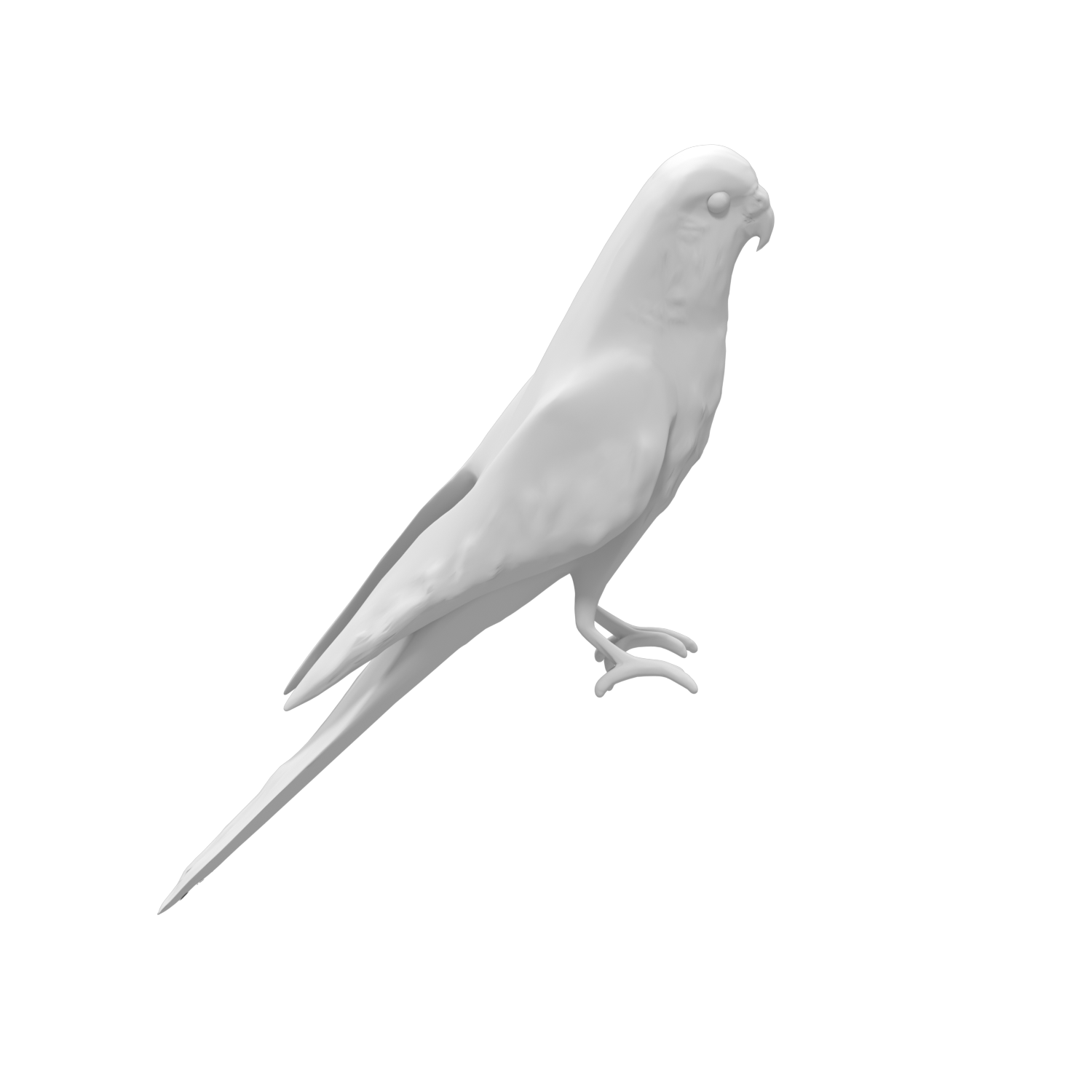 Parakeet by Durmuş Gençer | Download free STL model | Printables.com
