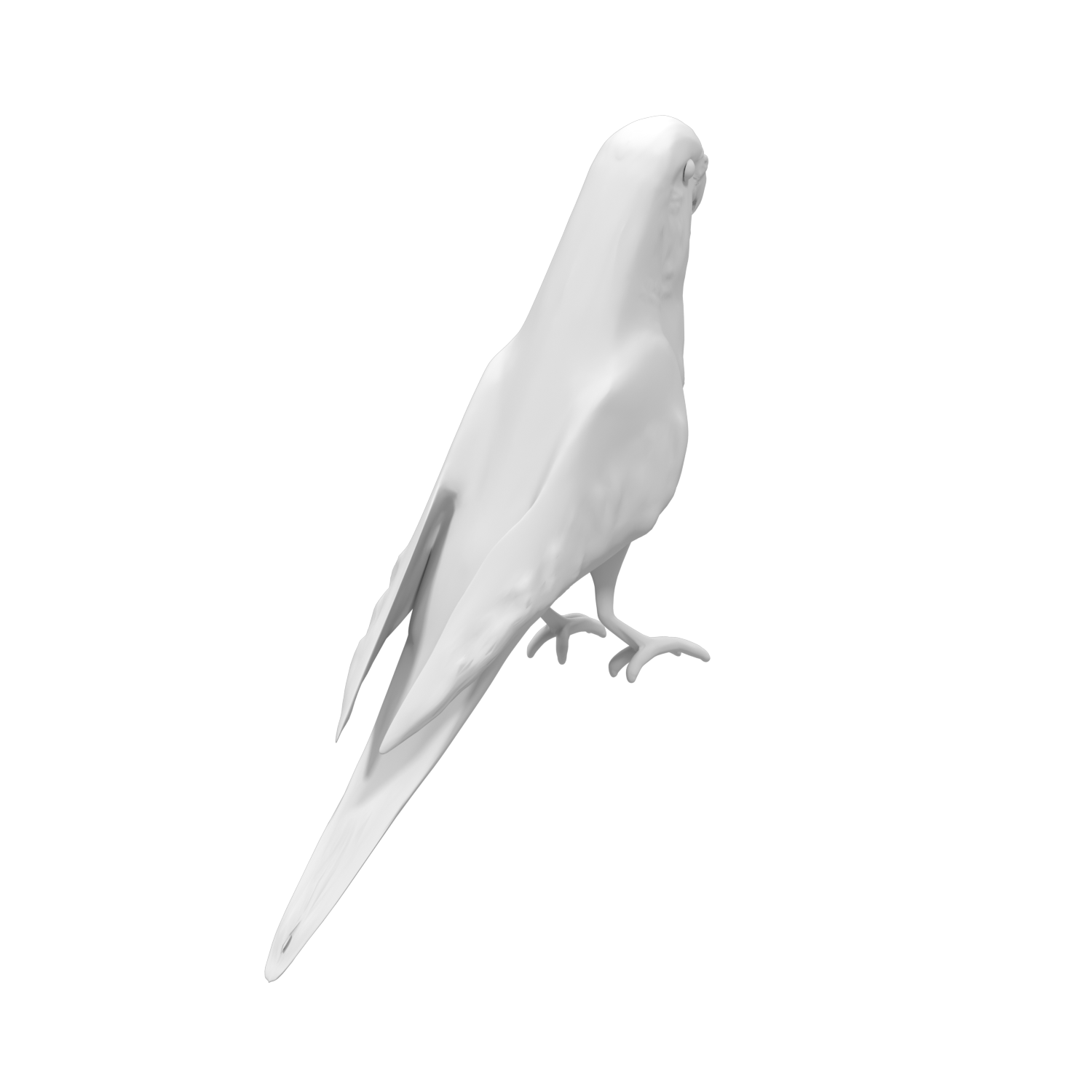 Parakeet by Durmuş Gençer | Download free STL model | Printables.com