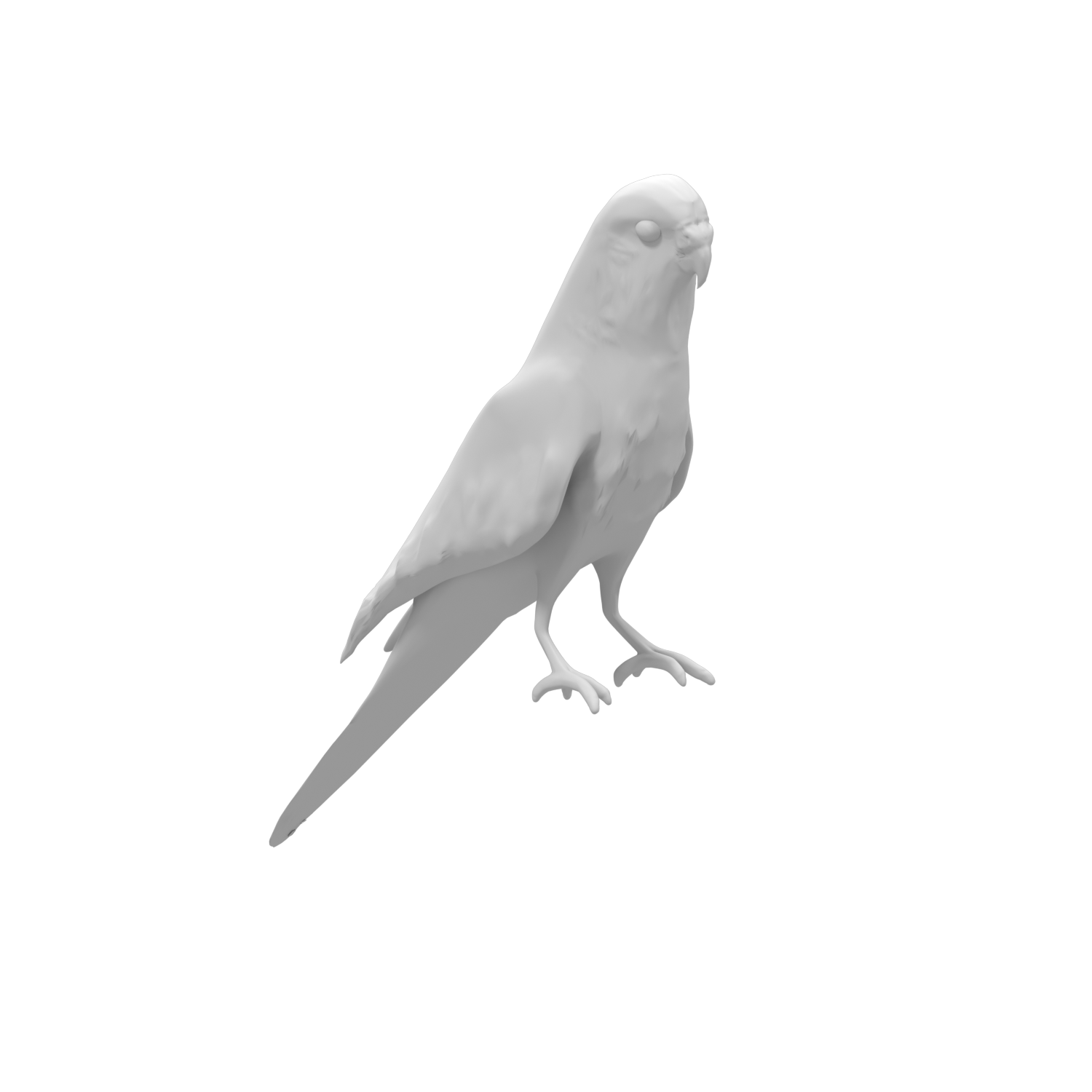 Parakeet by Durmuş Gençer | Download free STL model | Printables.com