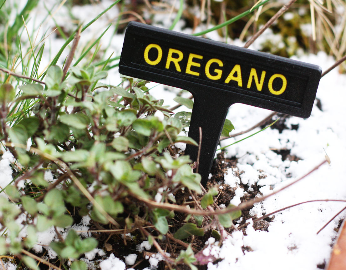 Modular Tagging System - For Plants, Boxes, Drawers, ... by mageb ...