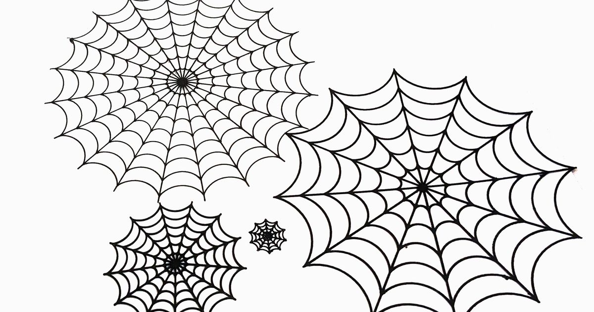 Parametric Spider Web by Steve DeGroof | Download free STL model ...