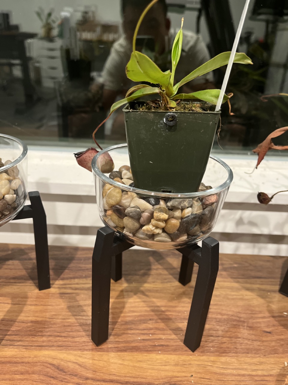 Plant stand for 2-cup pyrex container by Don | Download free STL model ...