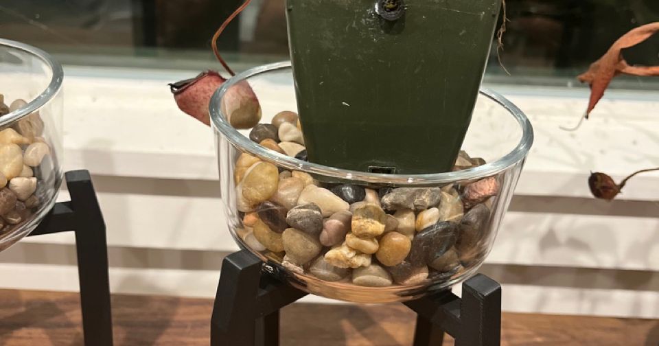 Plant stand for 2-cup pyrex container by Don | Download free STL model ...