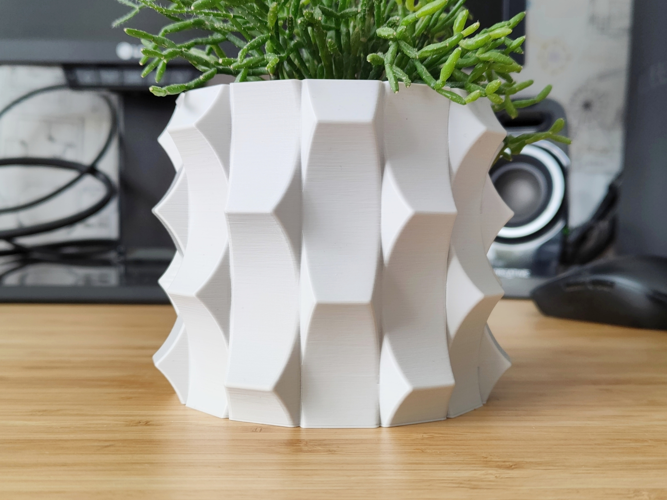 Switch Pot and Planter for House plants - Vase mode by SASSy Design ...