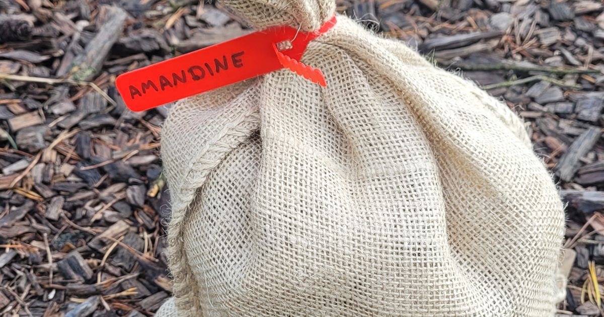 Zip Tie Tag by Christian Schröder | Download free STL model ...