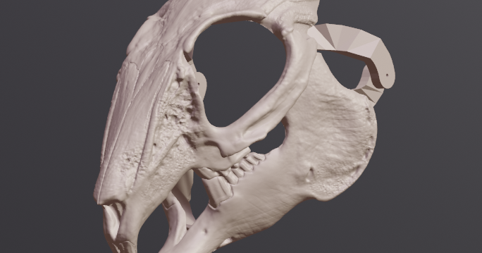 Rabbit Skull Mask by DragonArtist15 | Download free STL model ...