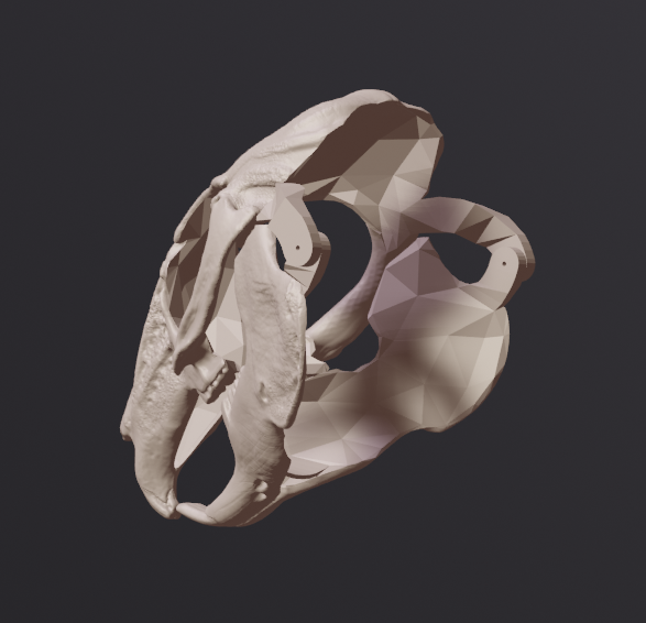 Rabbit Skull Mask by DragonArtist15 | Download free STL model ...