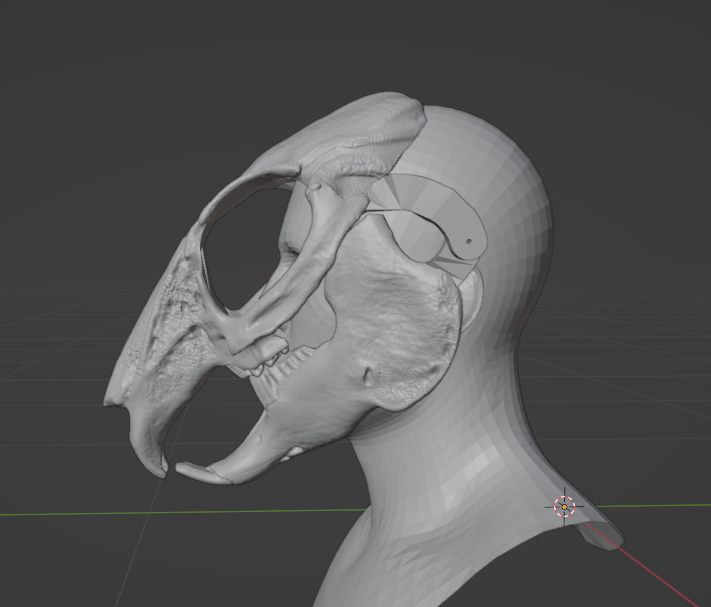 Rabbit Skull Mask by DragonArtist15 | Download free STL model ...