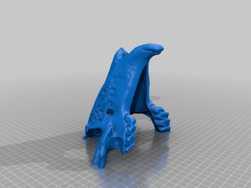 Rabbit Skull Mask by DragonArtist15 | Download free STL model ...