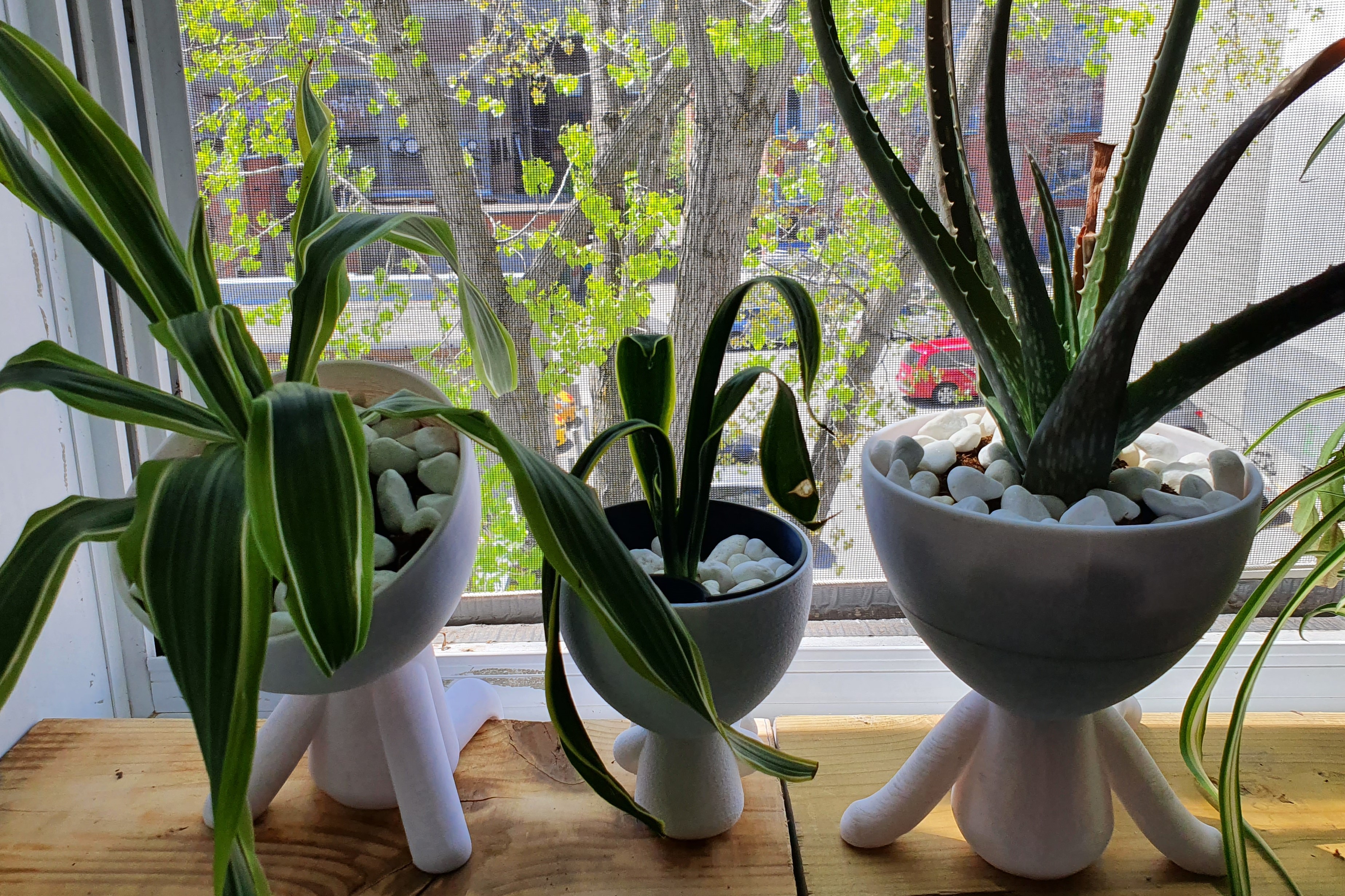 Hydroponic, Self-Watering, Seeds starter, Robert Planters by Estudio ...