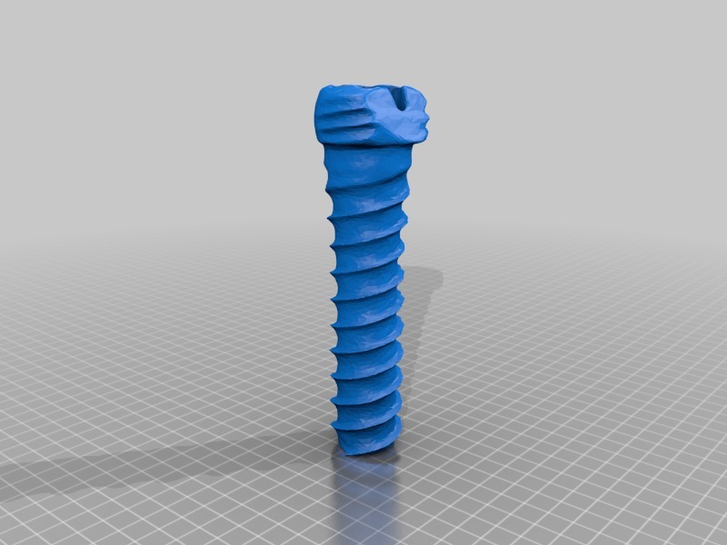 Trabecular bone osteoporosis model with bone screw by akimakes ...