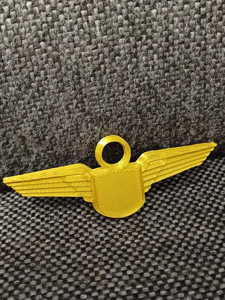 Pilot wings keychain by MajaPrints | Download free STL model ...