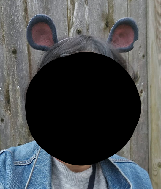 Rat Ear Headband by Sadie Robotics | Download free STL model ...