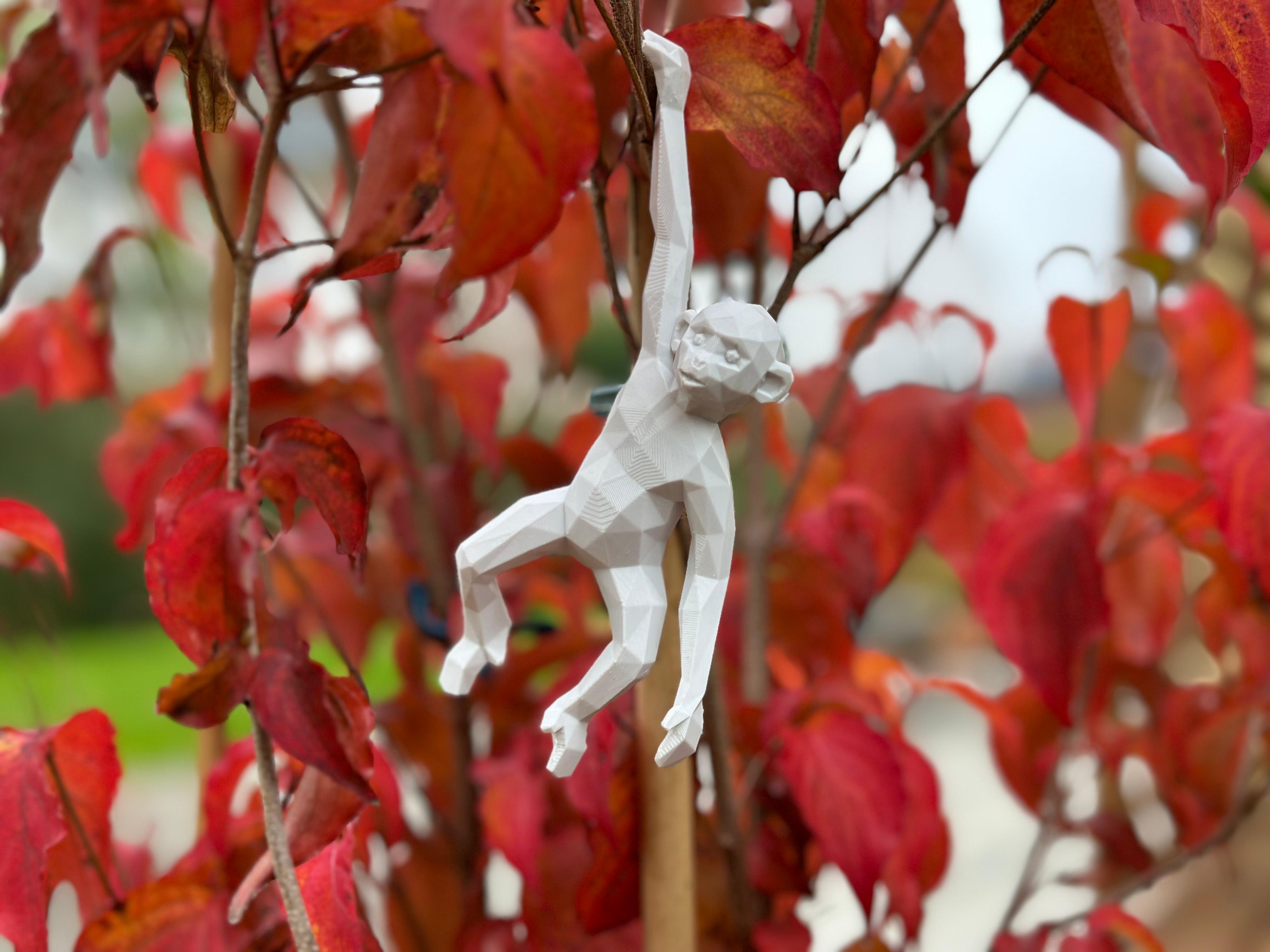 Cute Low Poly Hanging Monkey by Matthias L | Download free STL model ...