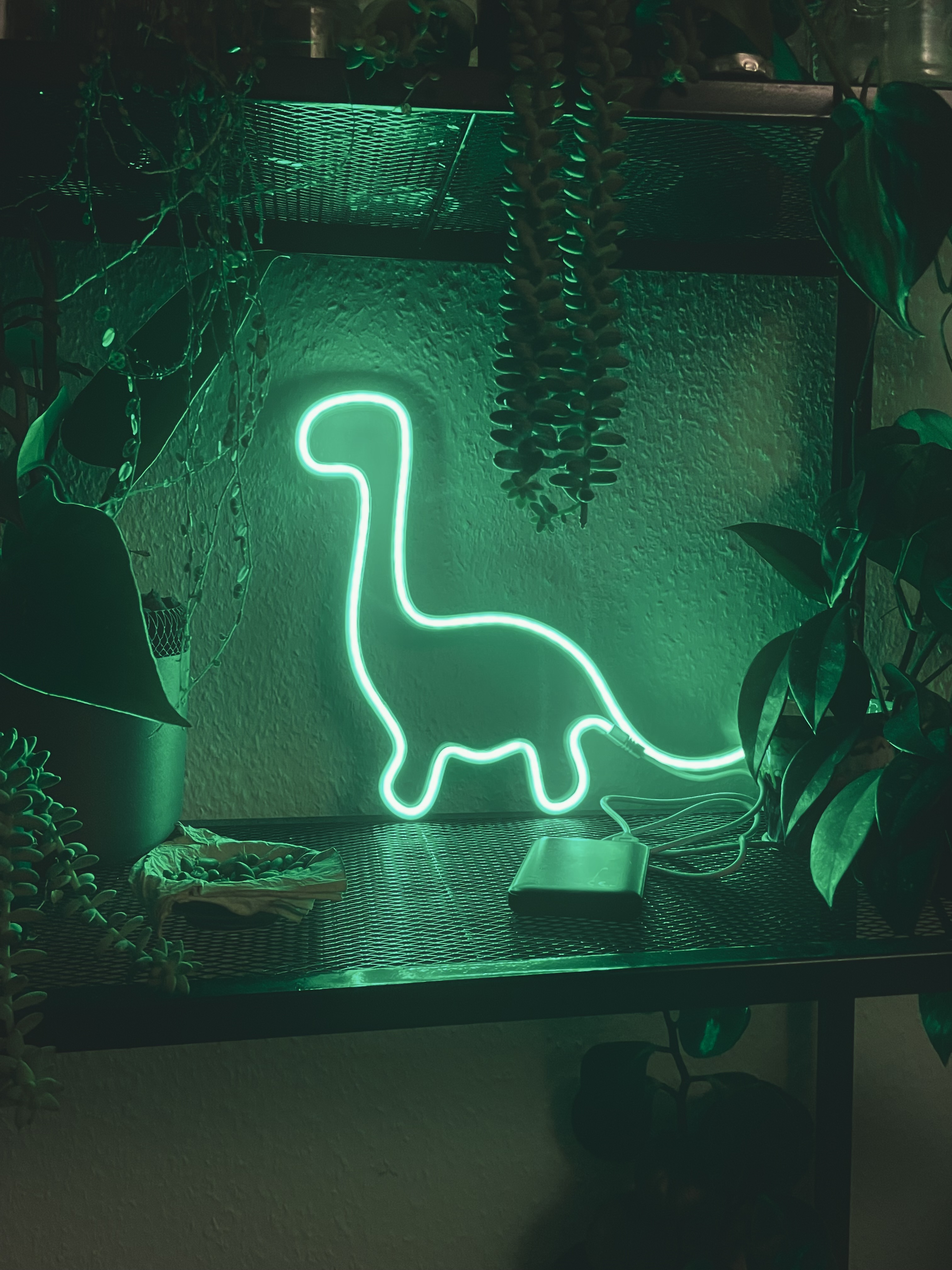 Neon Dino LED Sign by Julian1111 | Download free STL model | Printables.com