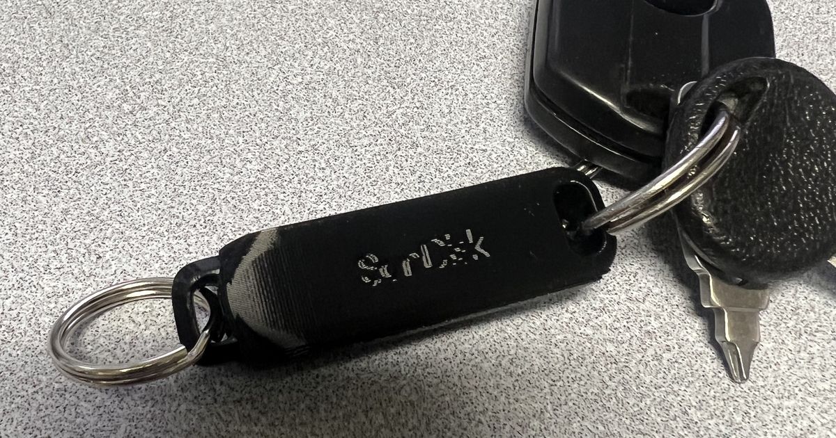 Sandisk Ultra Dual USB Go USB Drive TPU Keychain Cover by Charlie W ...