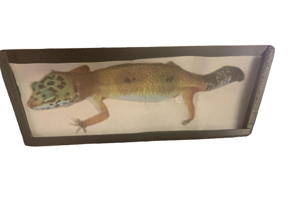 2x5 inch photo frame by Thingoatie | Download free STL model ...