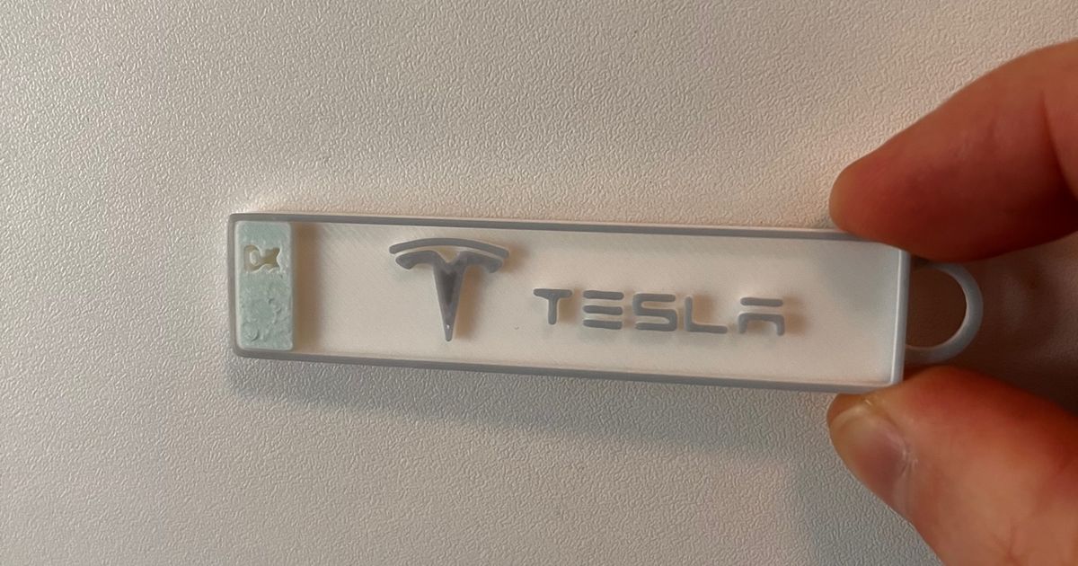 Tesla numberplate keychain by Dinozzo | Download free STL model ...