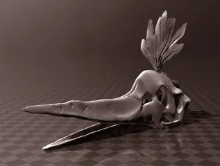 pteranodon skull 3d