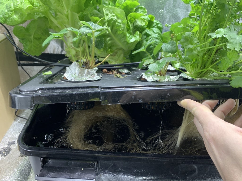 Temp Sensor Module for Environmental Monitoring - DS18B20 1-Wire by ...