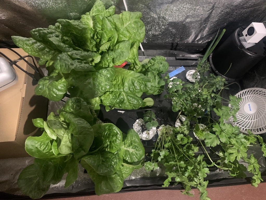 Temp Sensor Module for Environmental Monitoring - DS18B20 1-Wire by ...