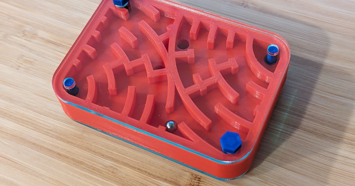 Two Sided Maze by Guenther | Download free STL model | Printables.com