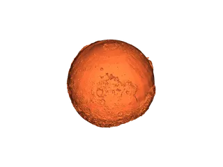 Mars by Bryan Hearn | Download free STL model | Printables.com